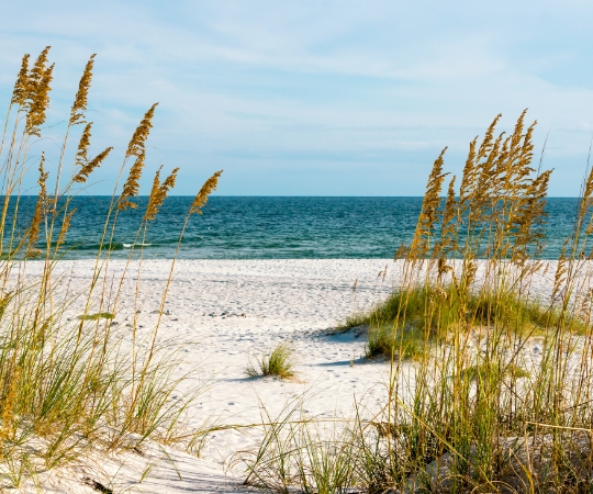 Gulf Coast Beach Getaway: An Unforgettable Road Trip Guide | SIXT