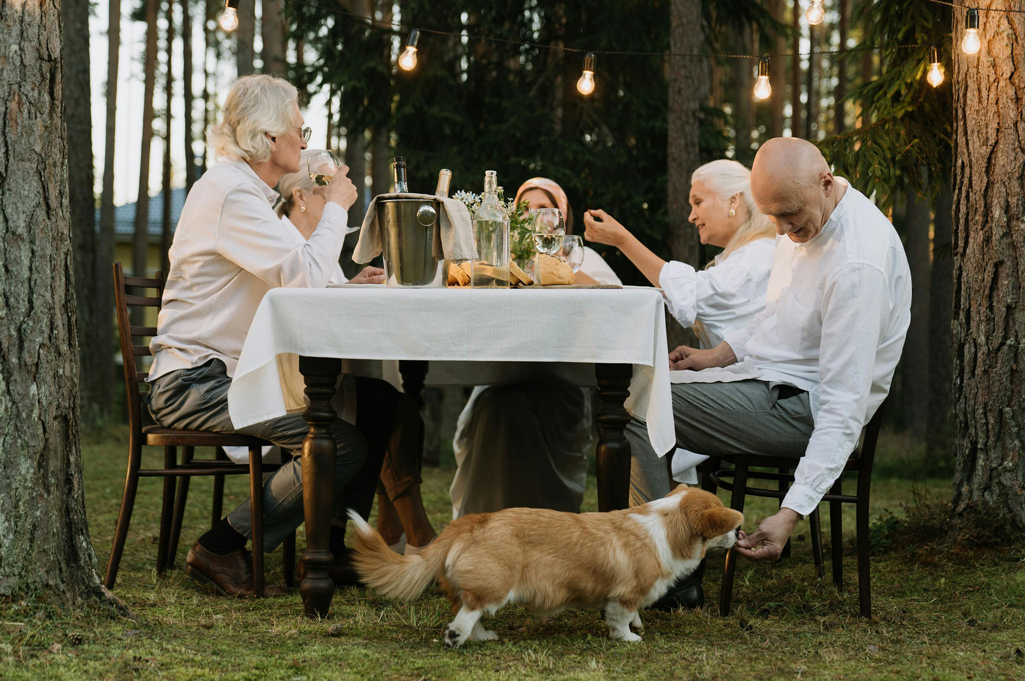 Dog-Friendly Dining Tips When Traveling | SIXT