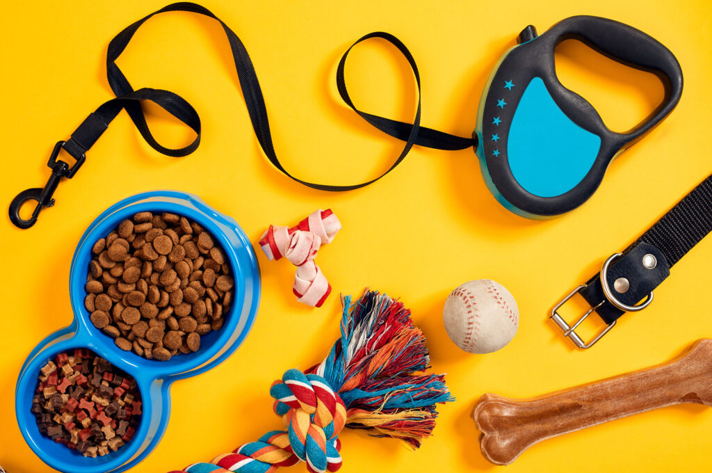 Dog Travel Kit Essentials | Traveling with Pets | SIXT