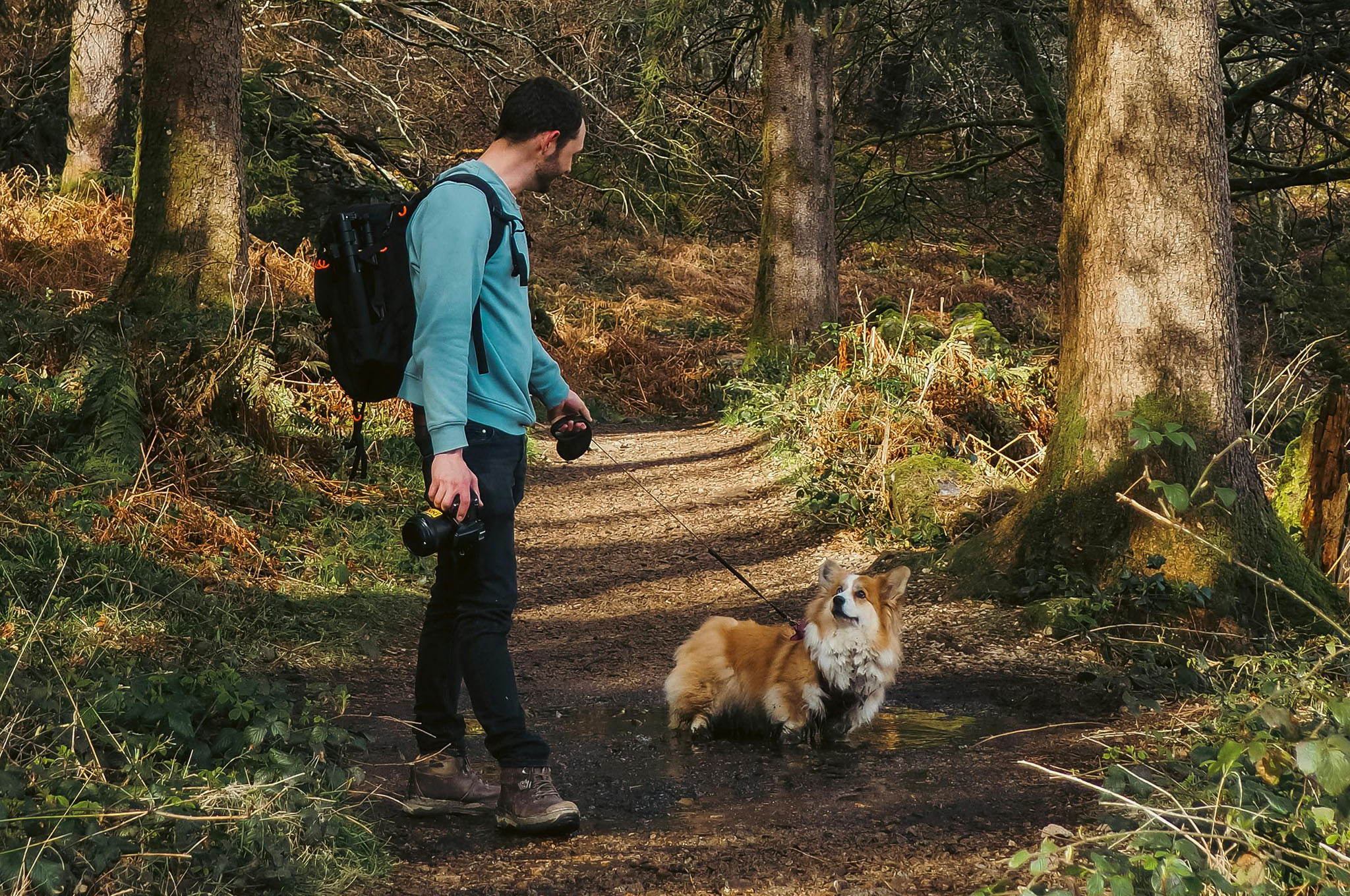 Tips for a Dog-Friendly Hiking Trip | Traveling with Pets | SIXT