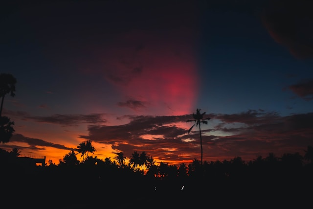 Sunset Times: The Best Time to View the Perfect Sunset