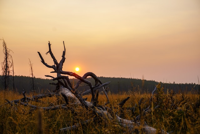 Your Ultimate Sunset Guide for Yellowstone National Park
